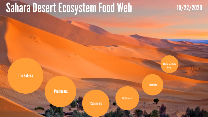 Sahara Desert Ecosystem by elizabeth prudlow on Prezi