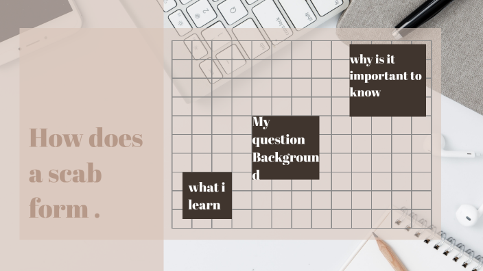 How does a scab form by Yuna Xiong on Prezi