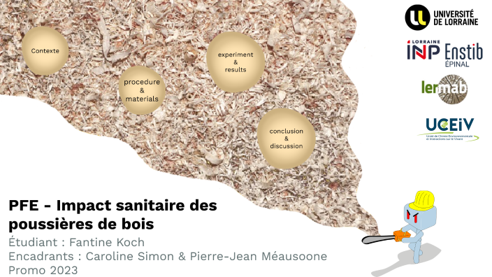 PFE - Impact sanitaire des poussières de bois by Fantine Koch on Prezi