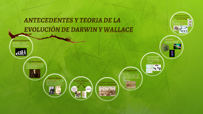 ANTECEDENTES Y TEORIA DE LA EVOLUCIÓN DE DARWIN Y WALLACE by Yahari ...