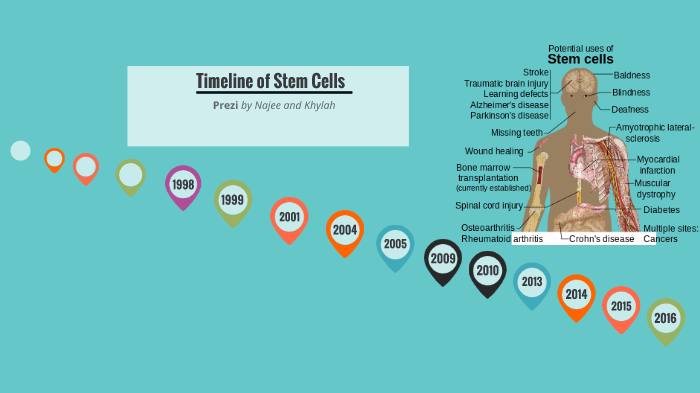 Stem Cell Timeline by Najee Khylah on Prezi