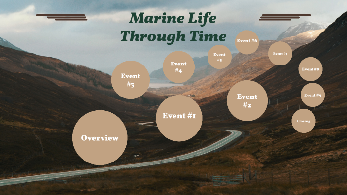 Marine Life Through Time by Ella Larkin on Prezi