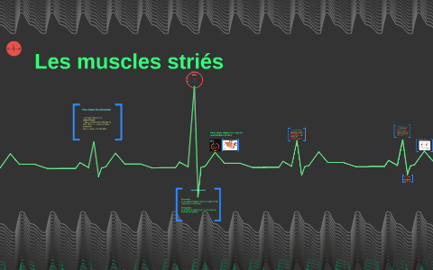 Les types de muscles by Angie Dion on Prezi
