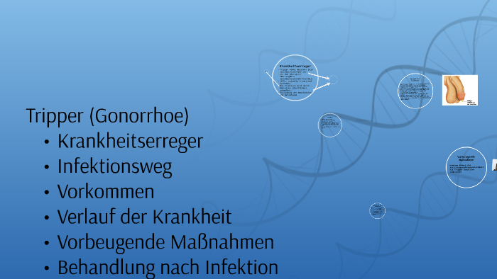 Tripper (Gonorrhoe) by Onur Yildiz on Prezi