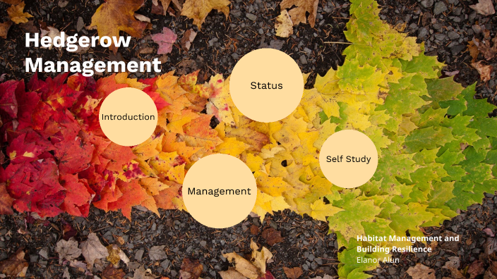 Hedgerow Management by Elanor Alun on Prezi