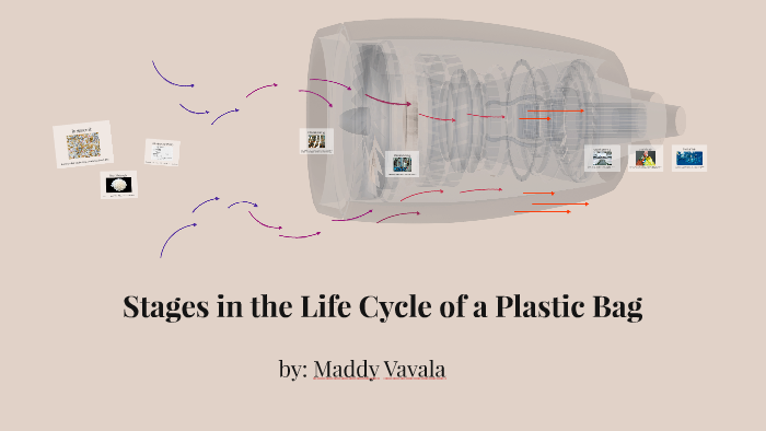 Stages in the Life Cycle of a Plastic Bag by maddy vavala