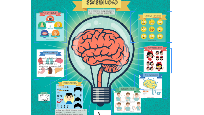 Funciones interoceptivas by Said Méndez on Prezi