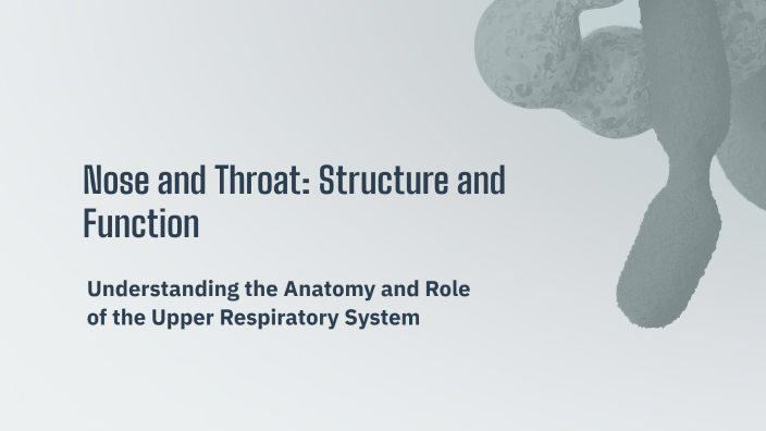 Nose and Throat: Structure and Function by Abo Anton on Prezi