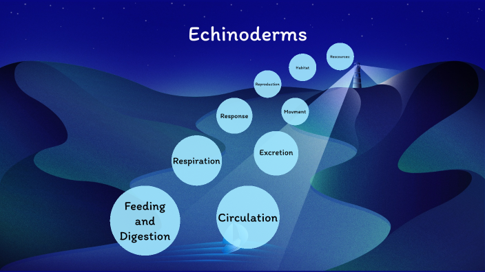 Echinoderms Diversity Project by Leo Stebbins on Prezi