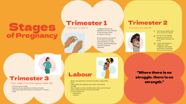 Women's Health - Stages of Pregnancy by DIYA PATEL on Prezi