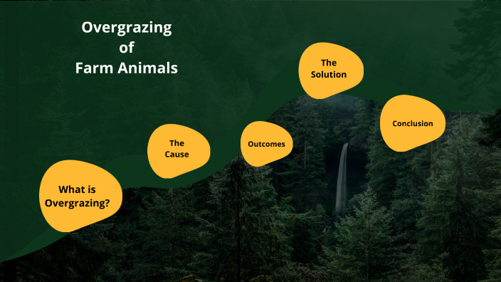 Overgrazing of Farm Animals by Mariah Bennett on Prezi