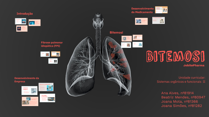 Trabalho de Anatomia by Joana Salomé Santos Simões on Prezi