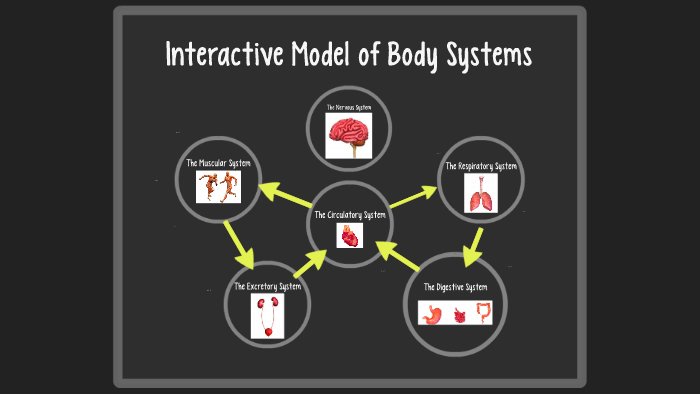 Interactive Model of Body Systems by Jessica Nichols on Prezi