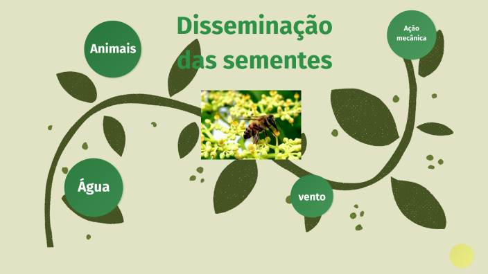Disseminação das sementes by Margarida Costa on Prezi