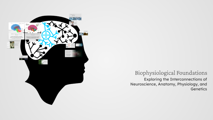 Biophysiological Foundations by Matthew Ochoa on Prezi