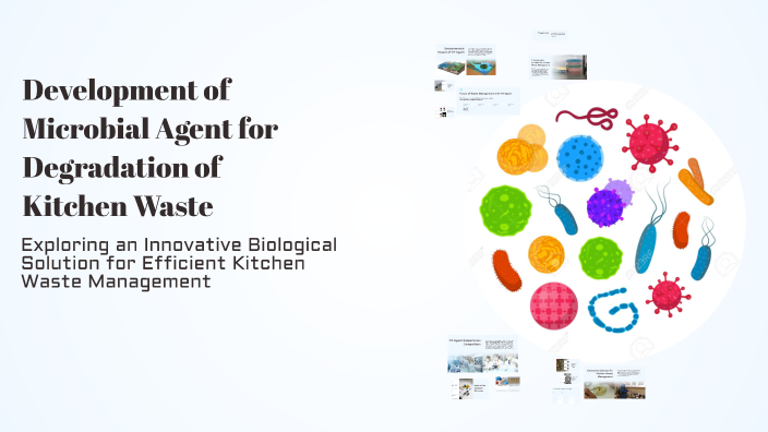 Development of Microbial Agent for Degradation of Kitchen Waste by ...
