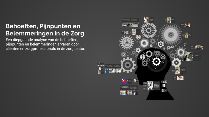 Behoeften, Pijnpunten en Belemmeringen in de Zorg by Les Grootzwagers ...