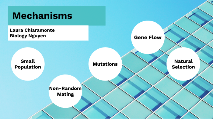 Mechanisms by Laura Chiaramonte on Prezi
