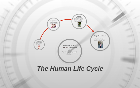 The Human Life Cycle by on Prezi