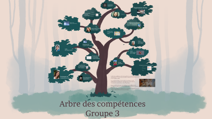 Arbre des compétences Groupe 3 by Peggy NOUVIALE on Prezi