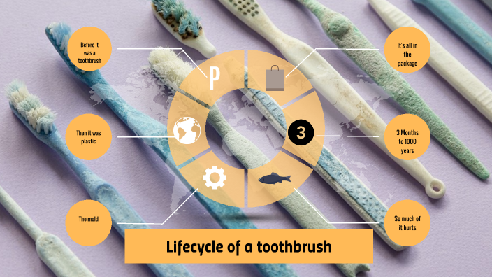 Lifecycle of a Toothbrush by Yvonne Martinez on Prezi