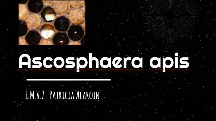 Ascosphaera apis by Patark Alarcon on Prezi