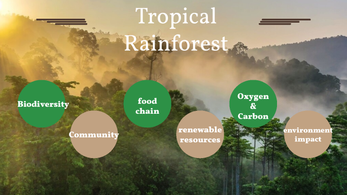 Ecology- Tropical Rain forest by Kennedy Thurman on Prezi