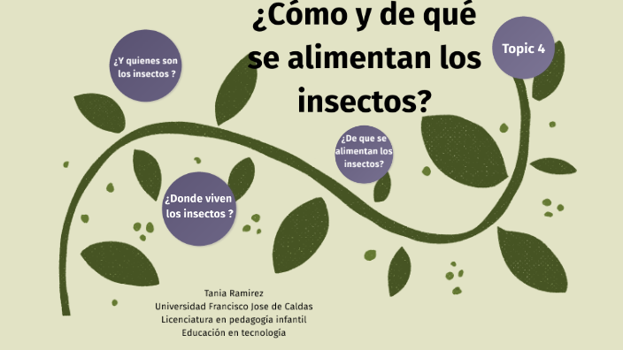 Como y de que se alimentan los insectos by tania ramirez on Prezi