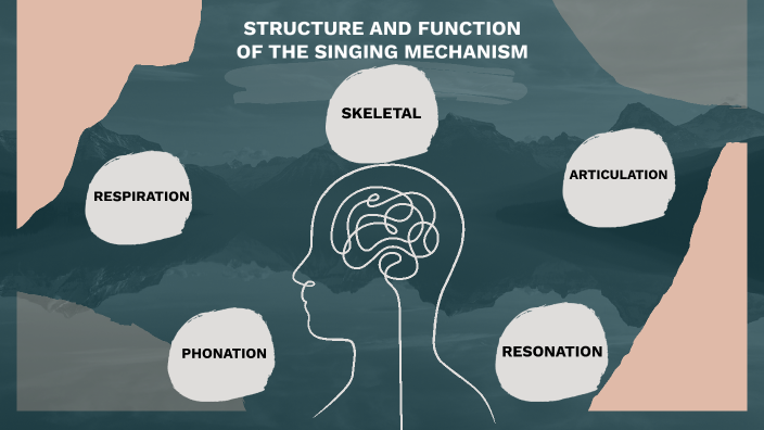 Structure & Function of the Singing Mechanism by carol sparkman on Prezi