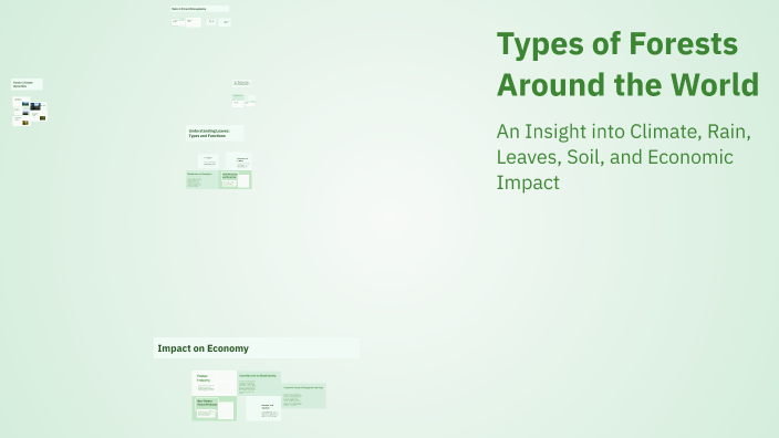 Types of Forests Around the World by Aleena Khan on Prezi