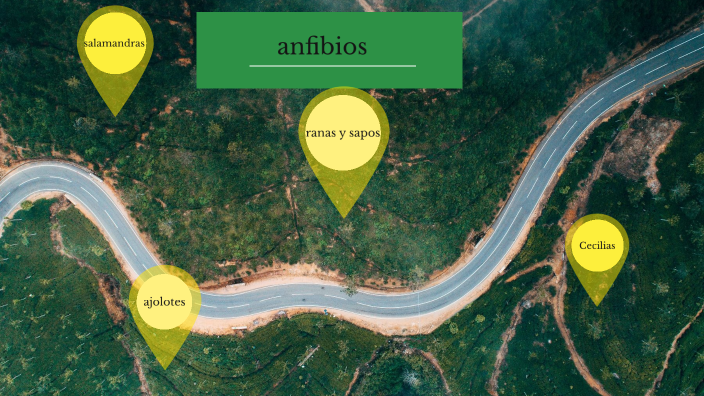 amphibios by GASPAR ROCCO L PEZ OLMEDO on Prezi
