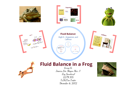 Fluid Balance by Megan Mar