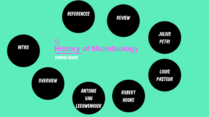 Informative Speech by Hannah Noack on Prezi