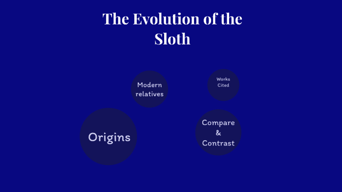 Evolution of Sloths by BENJAMIN STONE on Prezi