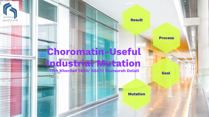 Chromatin-Usage Mutation by mansureh dolati on Prezi