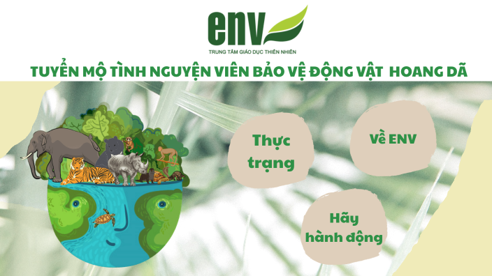 BMT-Pleiku Recruitment Event 2023 by Mạng Lưới TNV ENV on Prezi