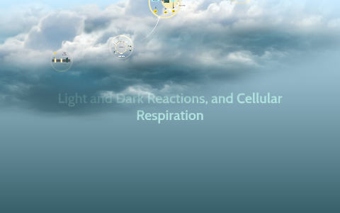 Light and Dark Reactions, and Cellular Respiration by Matthew Herber on ...