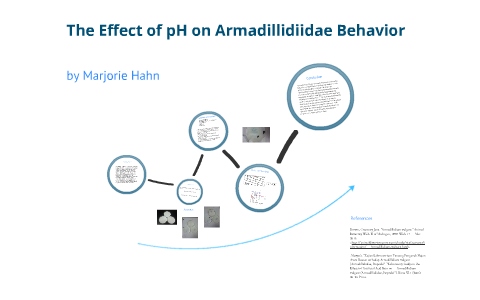 Roly Poly Lab by Marjorie Hahn on Prezi