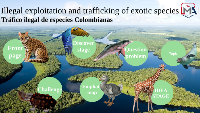 Illegal exploitation and trafficking of exotic species by Angelly ...