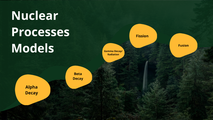 Nuclear Processes Model by Valentina Brayali
