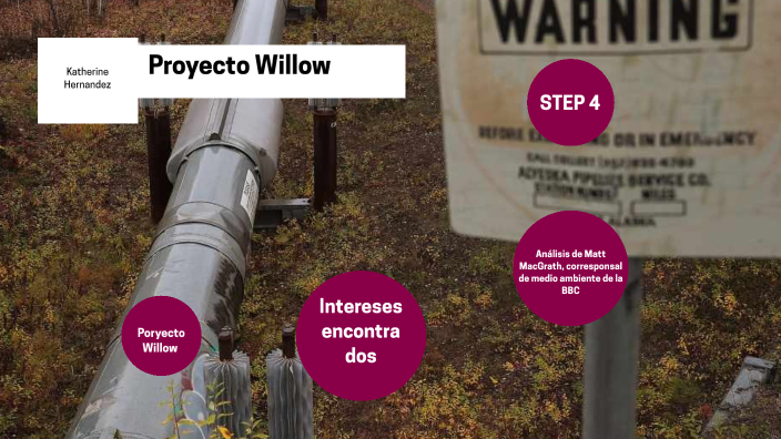 Proyecto Willow by Katherine Gisell Hernández Banegas on Prezi