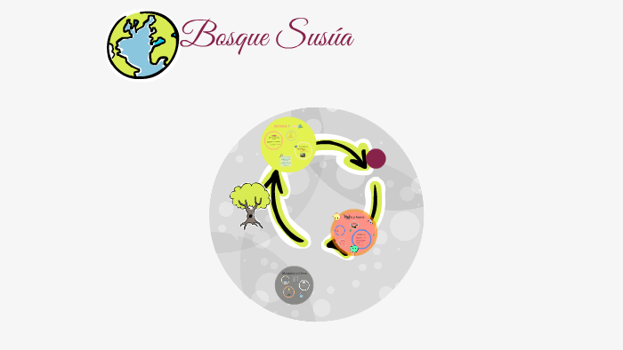 Bosque Susua by Vianthys Lorel on Prezi