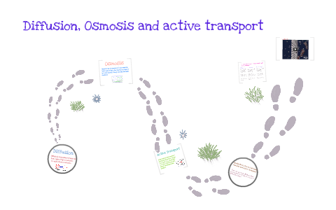 Diffusion,Osmosis and active transport by Ong Si Ting on Prezi
