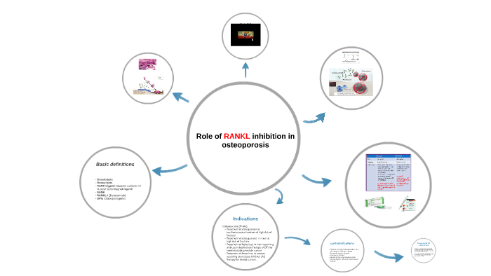 Role of RANKL inhibition in osteoporosis by omri nativ on Prezi