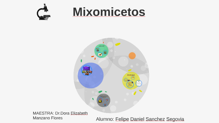 Mixomicetos by on Prezi