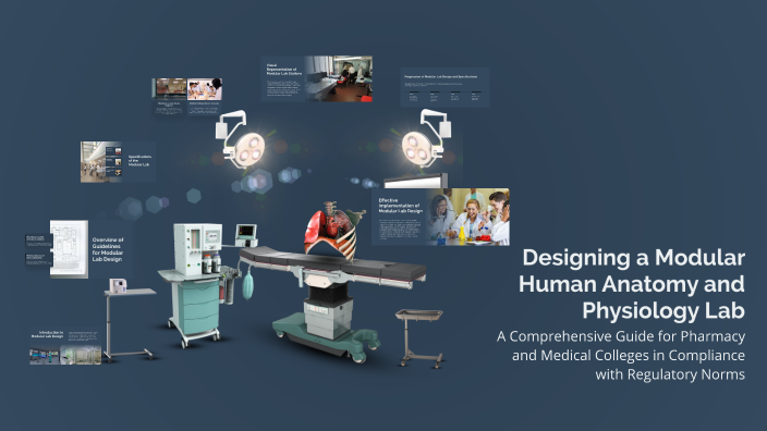 Designing a Modular Human Anatomy and Physiology Lab by Shreya Singh on ...