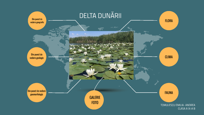 DELTA DUNĂRII by EMILIA TOMULESCU on Prezi
