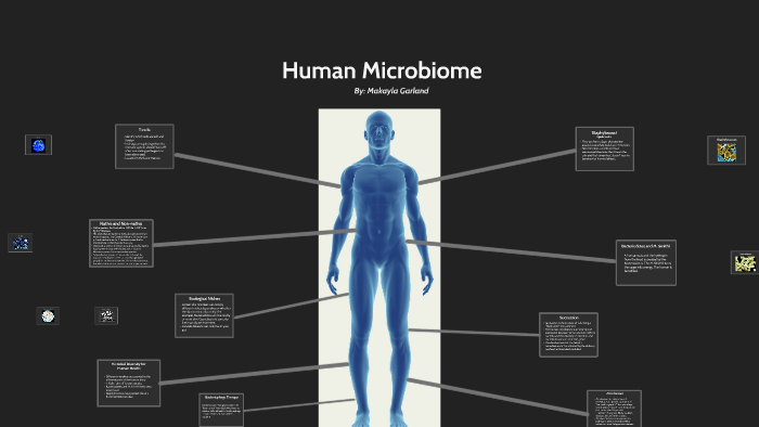 Human Biome by Makayla Garland on Prezi