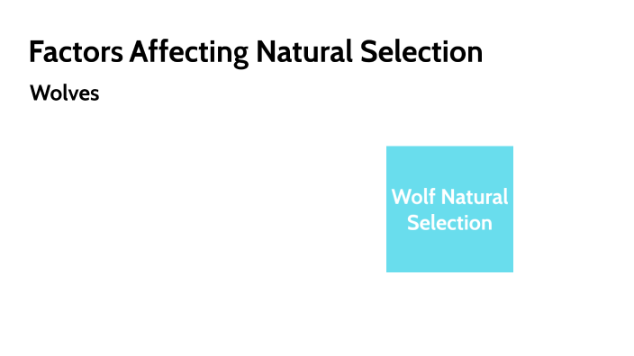 Factors Affecting Natural Selection by Symon Solomon on Prezi