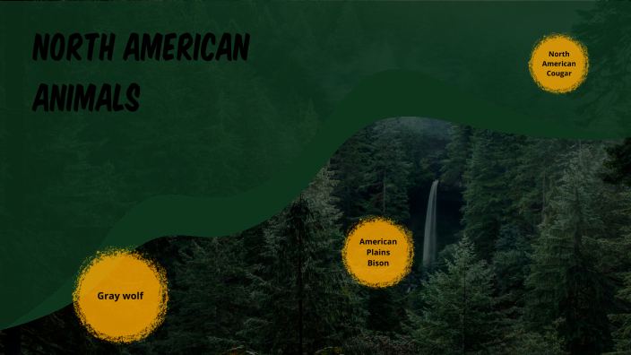 Zoo animals by Tyler Daniels on Prezi